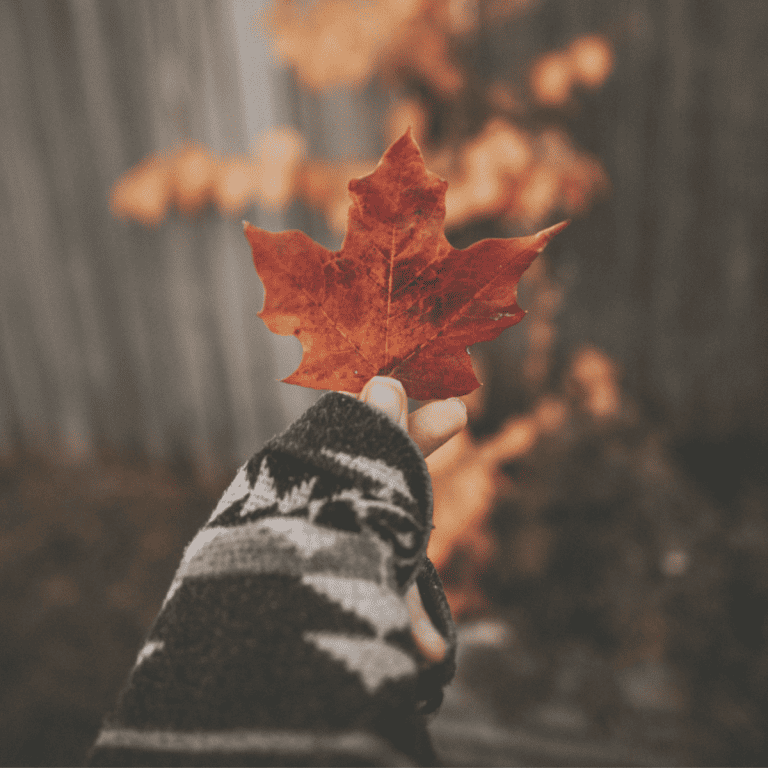 100 Fall Bucket List Ideas: Slow Down & Savor Autumn • Becoming UnBusy